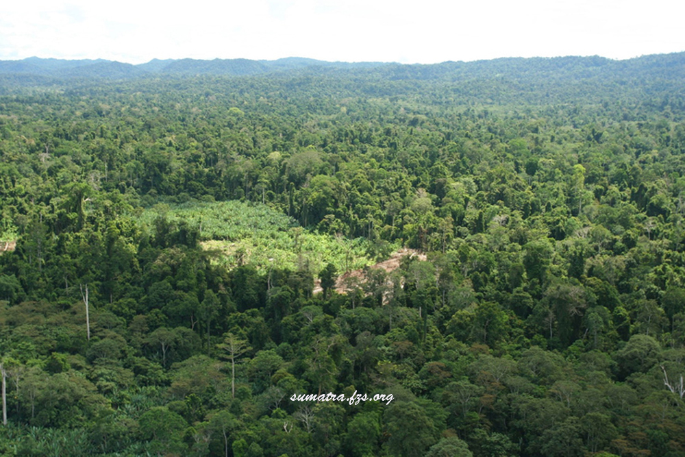 MARI MENGENAL TAMAN NASIONAL DI INDONESIA YANG MASIH JARANG TERDENGAR (Bagian 2)